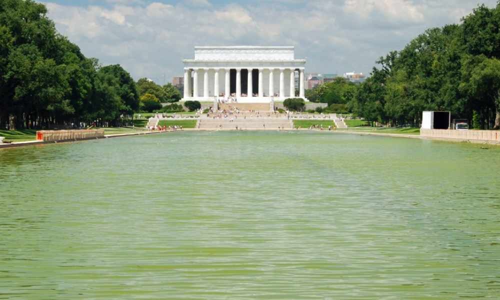 Trump’s $14 million reflecting pool turns green. The White House blames ...
